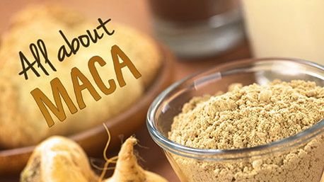 All about Maca | Openhand
